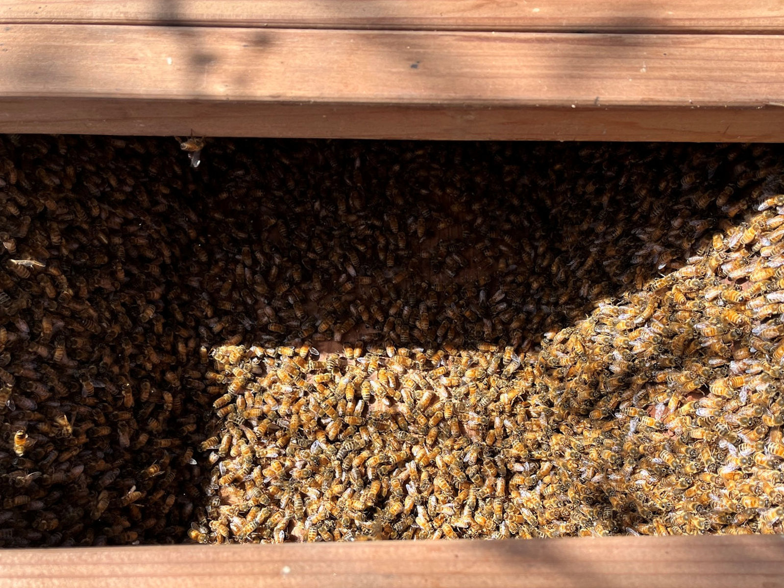 Top Bar Bee Hive – Wayside Woodworks